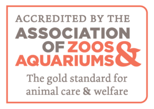 Happy Hollow receives another 5 years of AZA accreditation – Happy ...