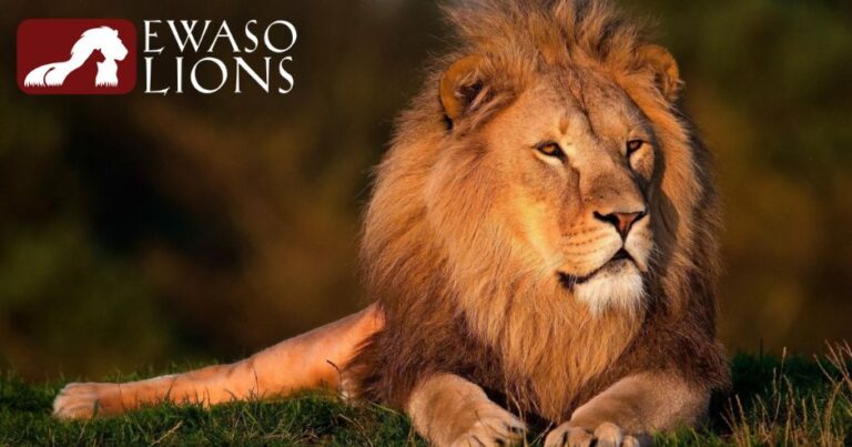 The Difference a Quarter Can Make: Quarters for Conservation 2023 ...