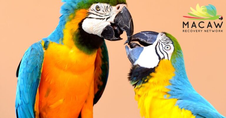 The Difference a Quarter Can Make: Quarters for Conservation 2023 ...