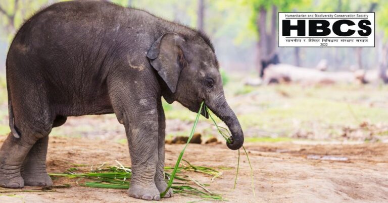 The Difference a Quarter Can Make: Quarters for Conservation 2023 ...