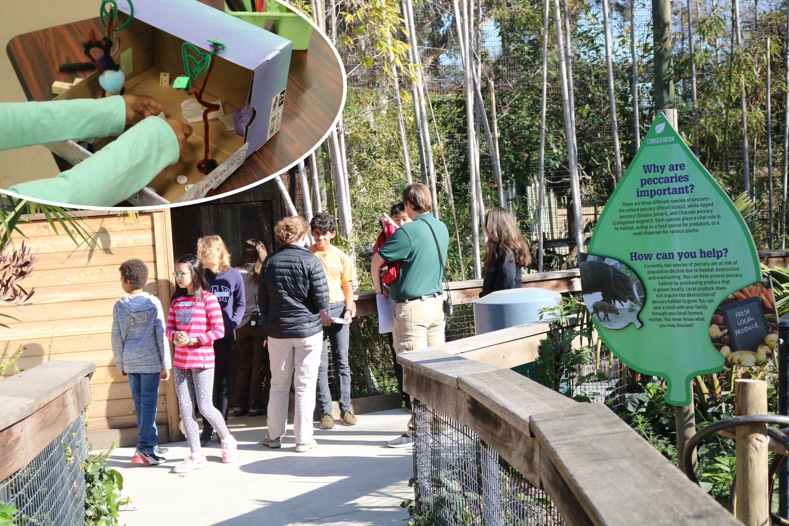 Happy Hollow Park & Zoo – Connecting people and nature through the joy ...